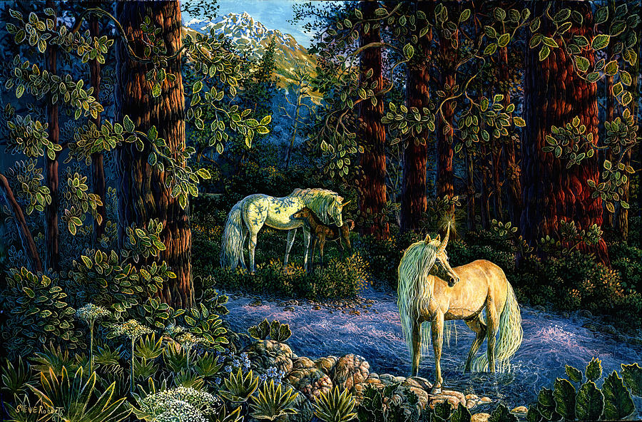 25 Enchanted Forest Adventure Seeds – Ready To Role